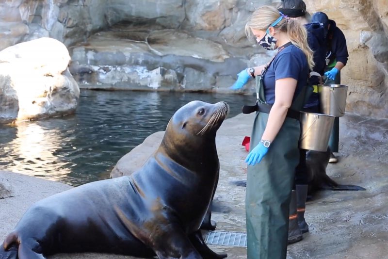 Oregon Coast Aquarium - Overleaf Lodge & Spa