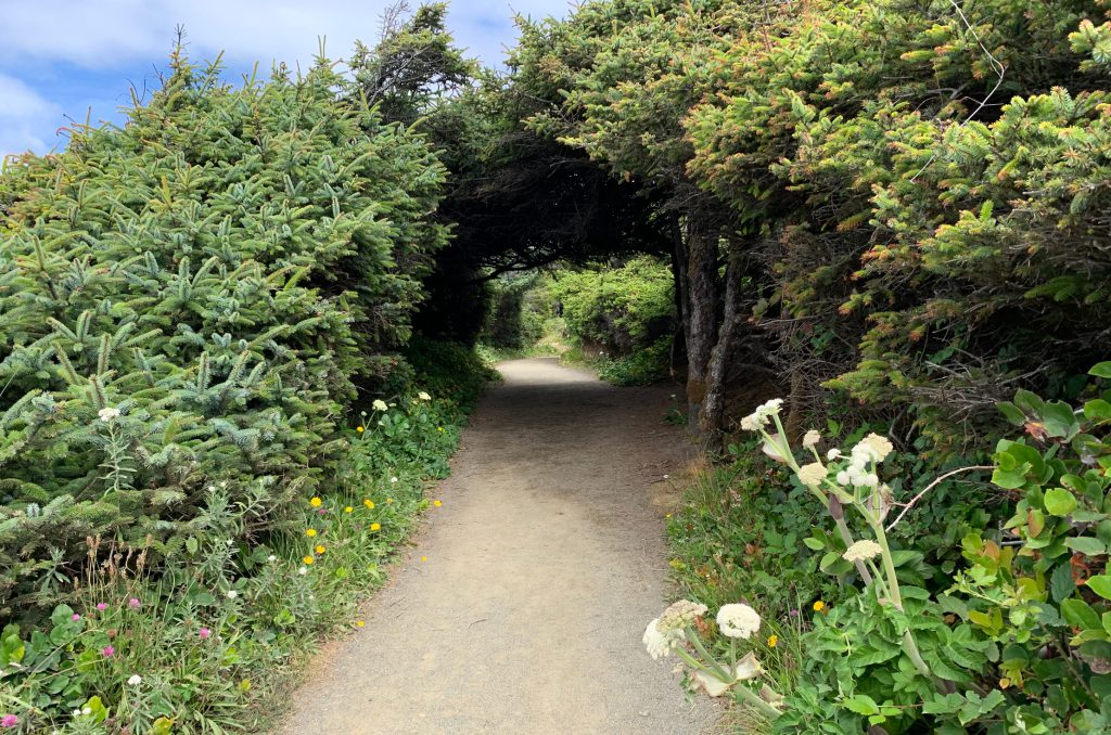 Nature Lover’s Escape | Overleaf Lodge & Spa in Yachats, Oregon