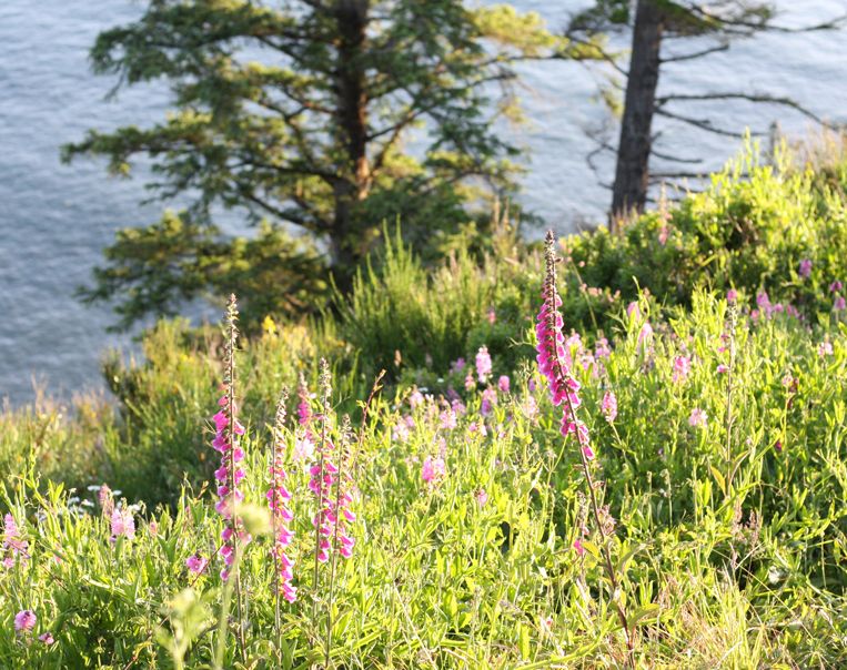 Photo Album - Overleaf Lodge & Spa