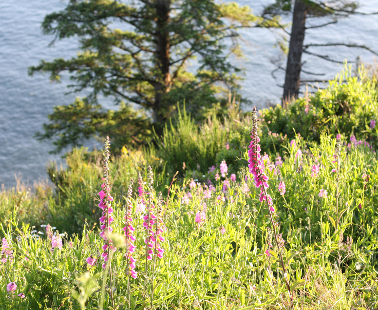 Photo Album - Overleaf Lodge & Spa